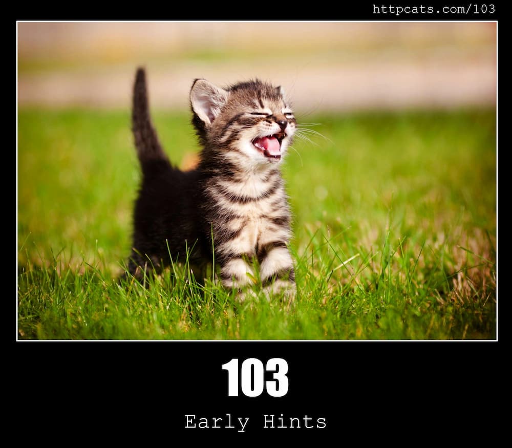 103 Early Hints HTTP Status Code And Cats 