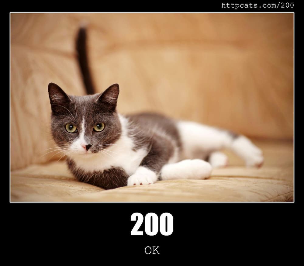 200 OK HTTP Status Code And Cats 