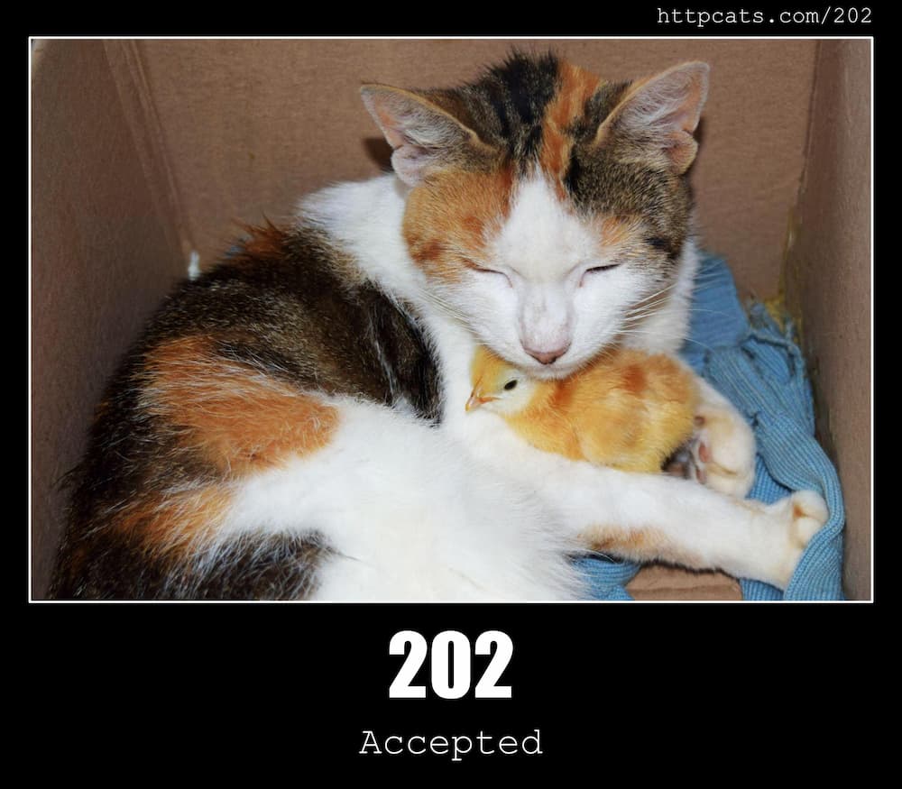 202 Accepted HTTP Status Code And Cats 