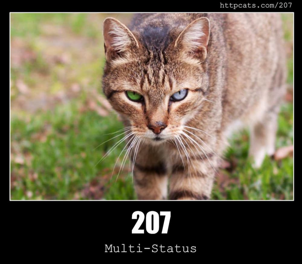 207 Multi Status HTTP Status Code And Cats 