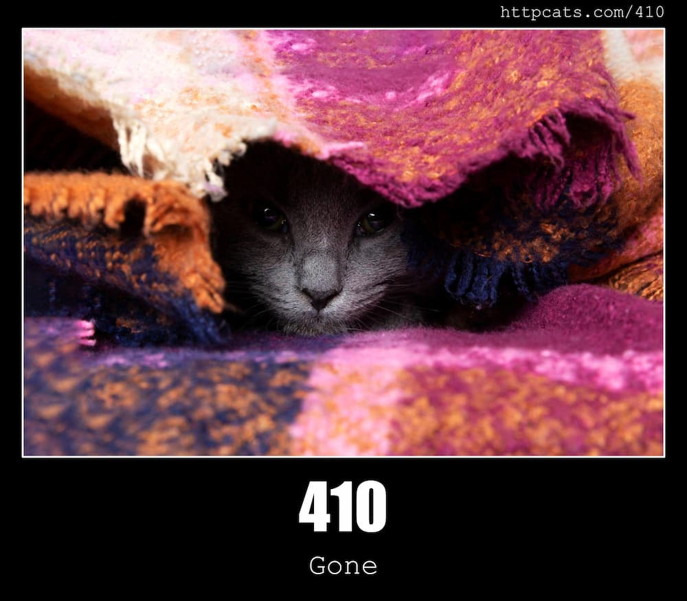 410 Gone HTTP Status Code And Cats 