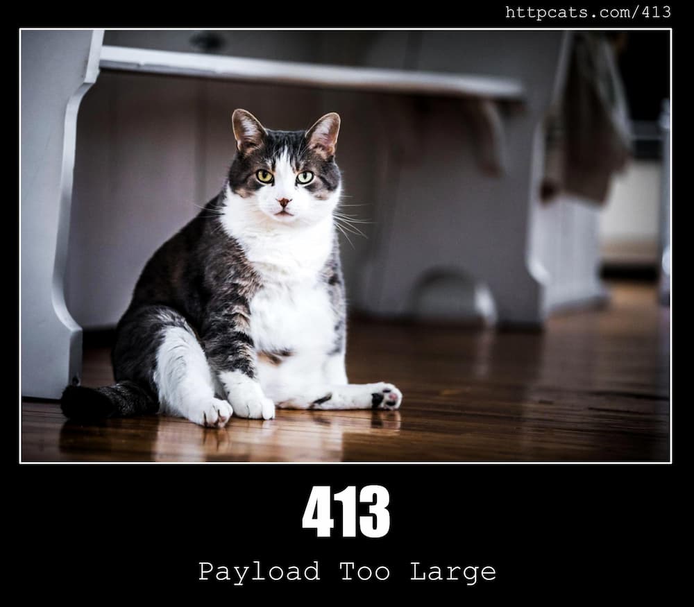 413 Payload Too Large HTTP Status Code And Cats 413 Payload Too Large HTTP Status Code And Cats