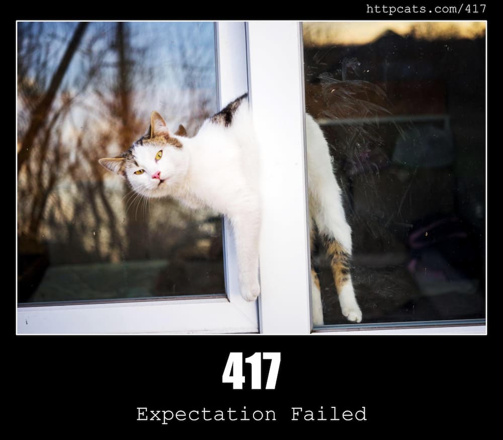 417 Expectation Failed HTTP Status Code And Cats 