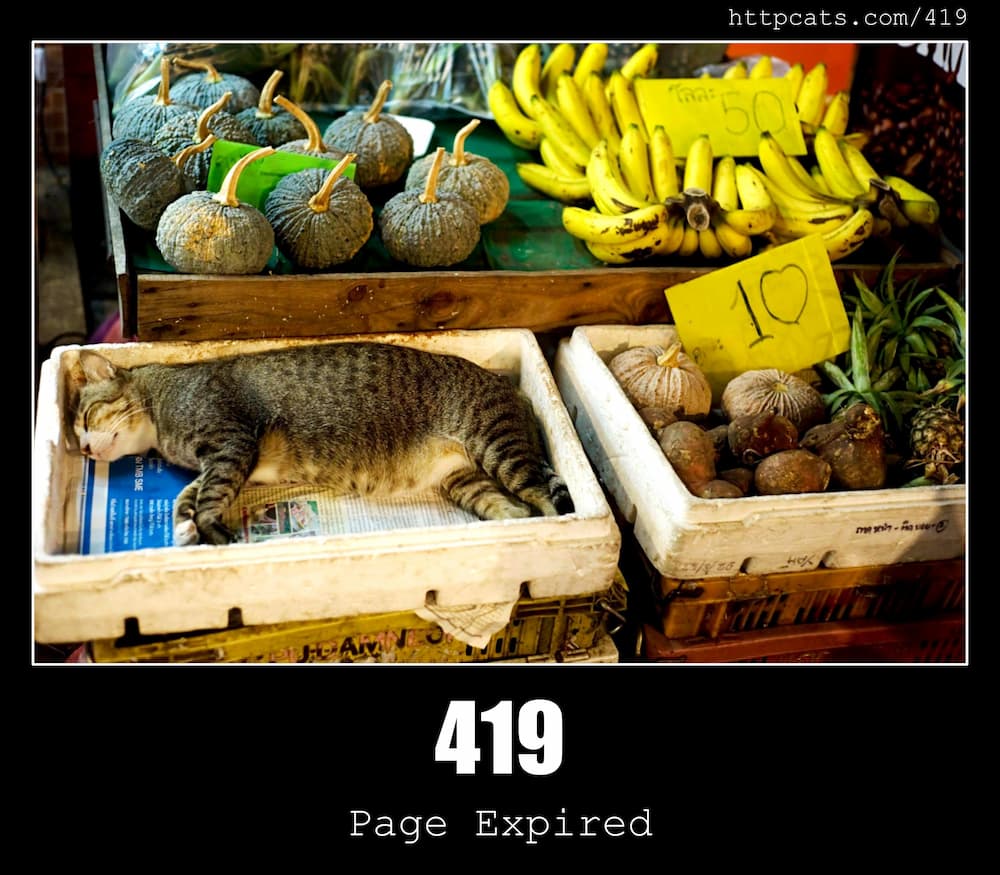 419 Page Expired HTTP Status Code And Cats 419 Page Expired HTTP Status Code And Cats