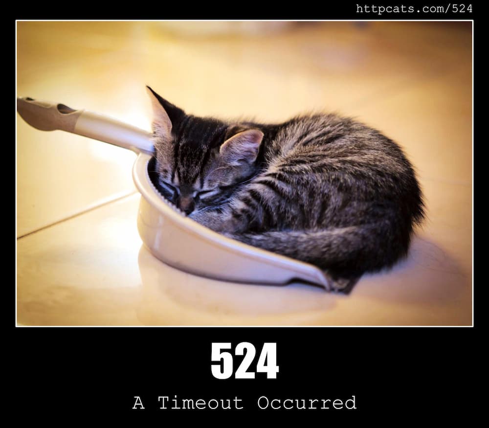 524 A Timeout Occurred HTTP Status Code And Cats 