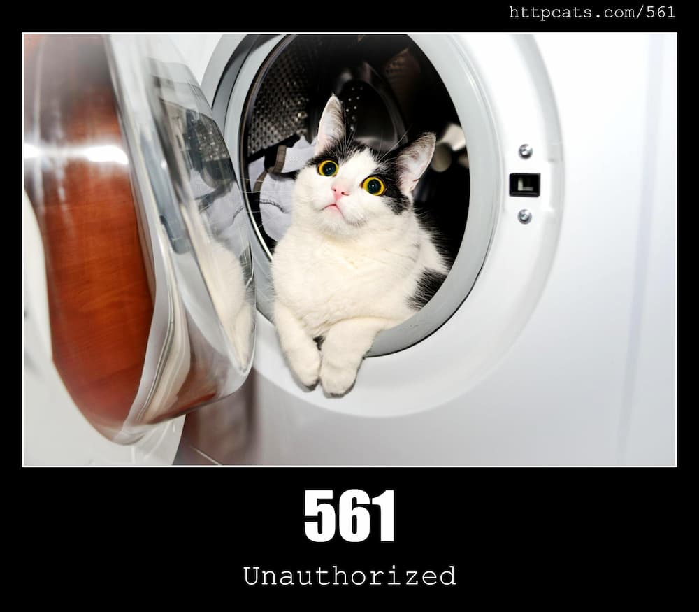 561 Unauthorized HTTP Status Code And Cats 561 Unauthorized HTTP Status Code And Cats