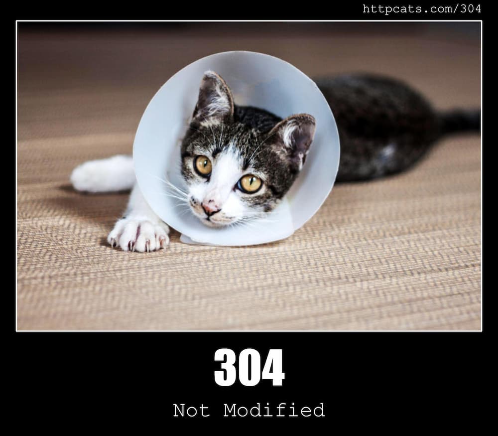 HTTP Status Cats API - A cat image for every HTTP Status Code