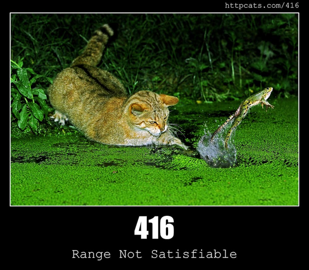 416 Range Not Satisfiable HTTP Status Code And Dogs 