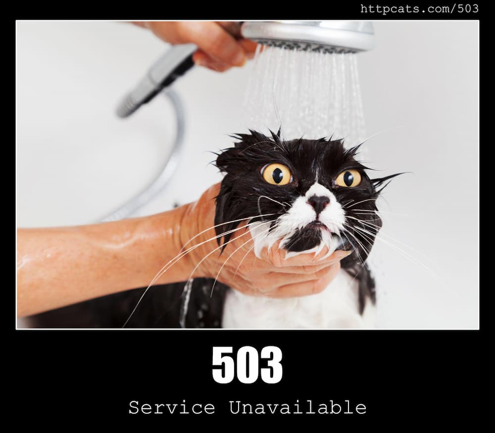503 Service Unavailable - HTTP status code and dogs!