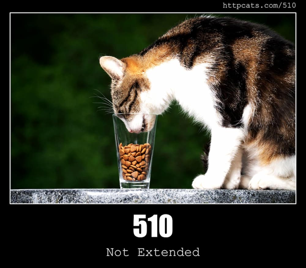 510 Not Extended - HTTP status code and cats!