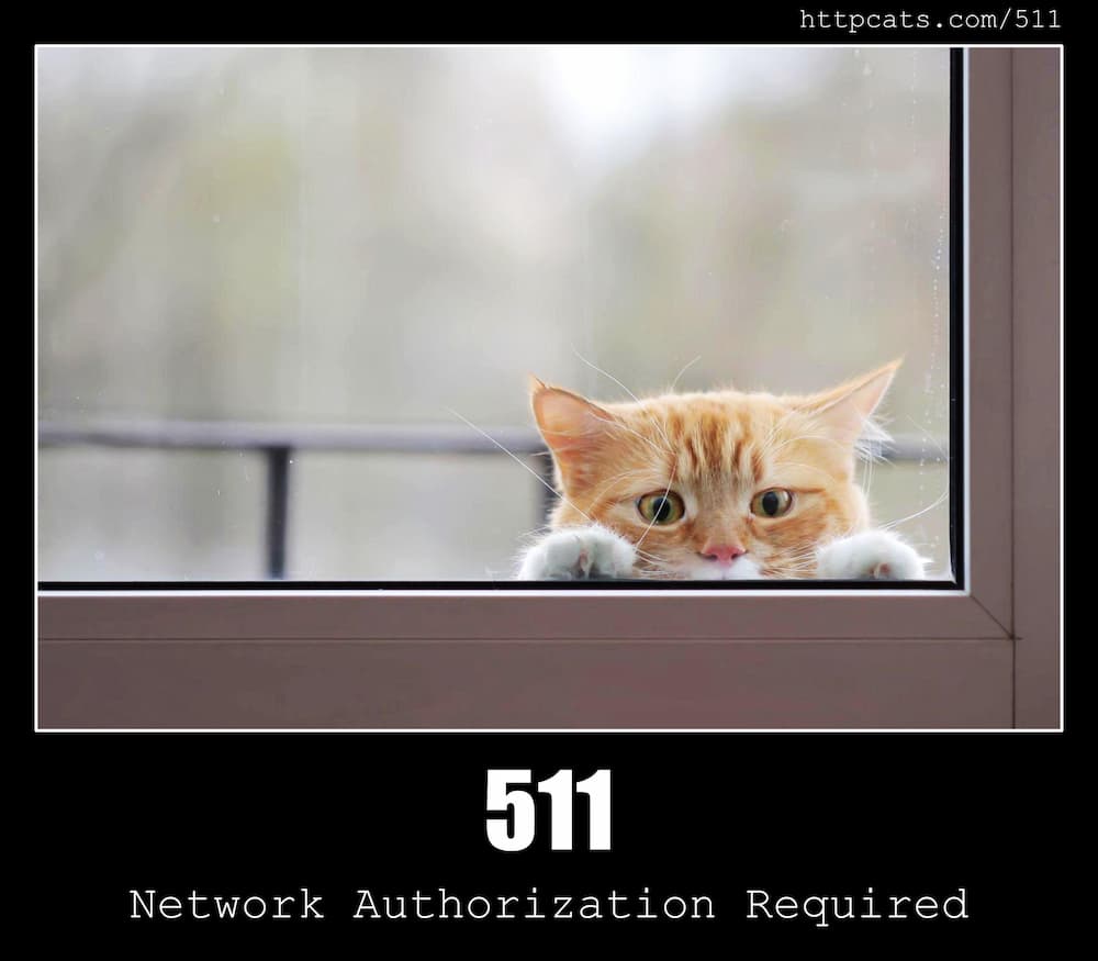 511 Network Authentication Required - HTTP status code and cats!