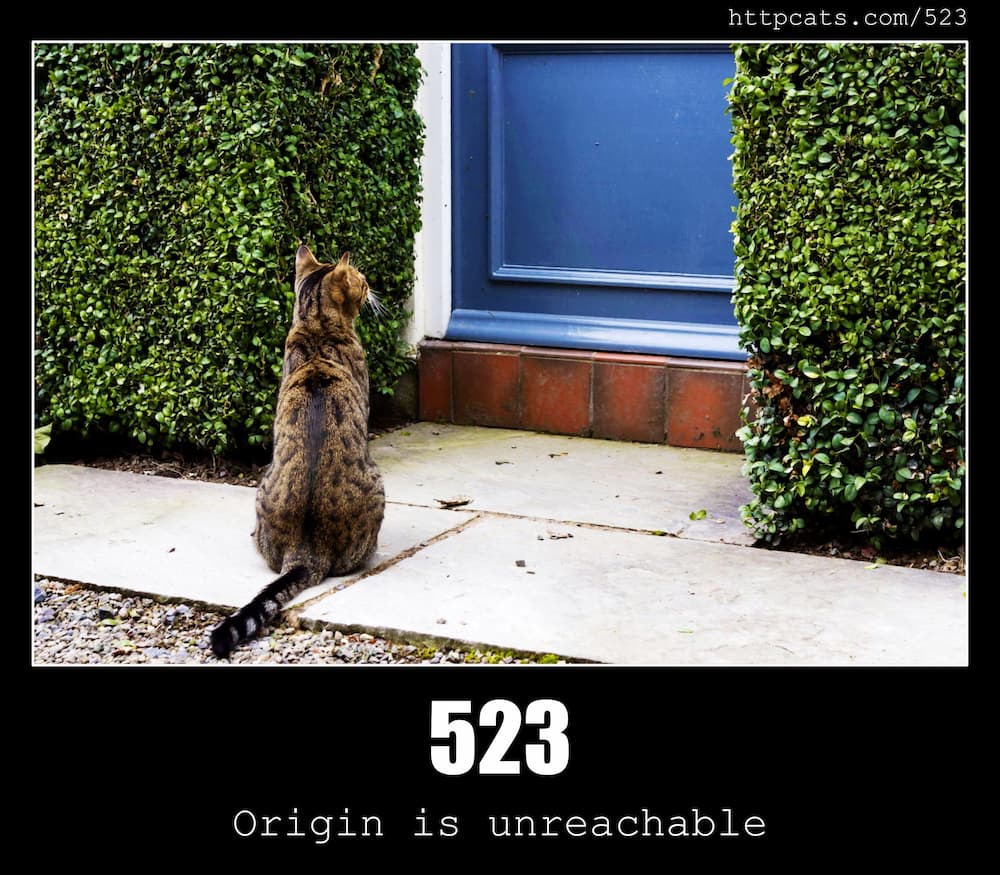 523 Origin is unreachable - HTTP status code and cats!