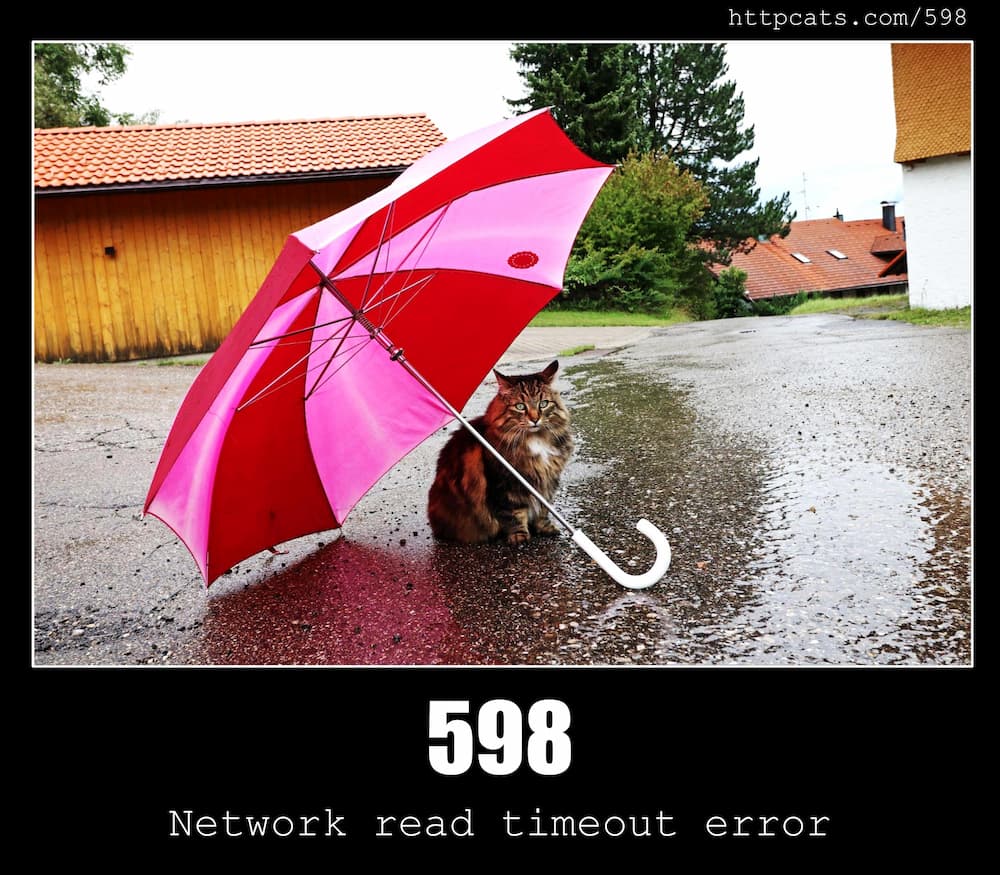 598 Network read timeout error - HTTP status code and cats!