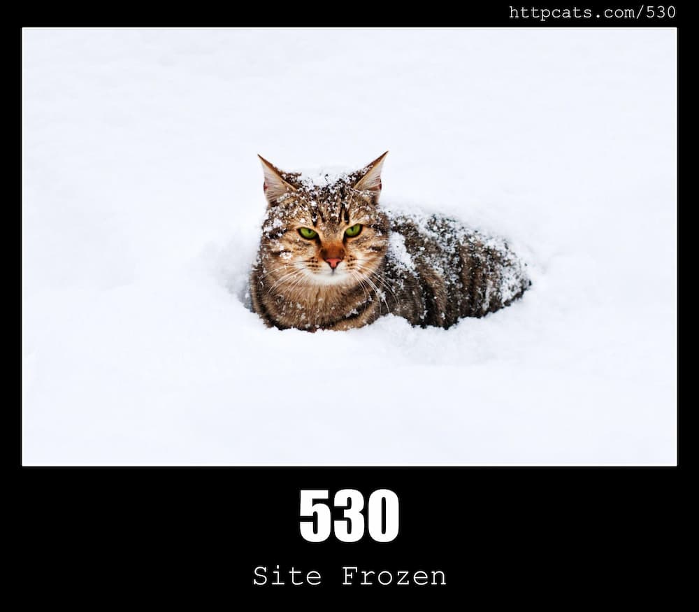 530 Site Frozen HTTP status code and cats!